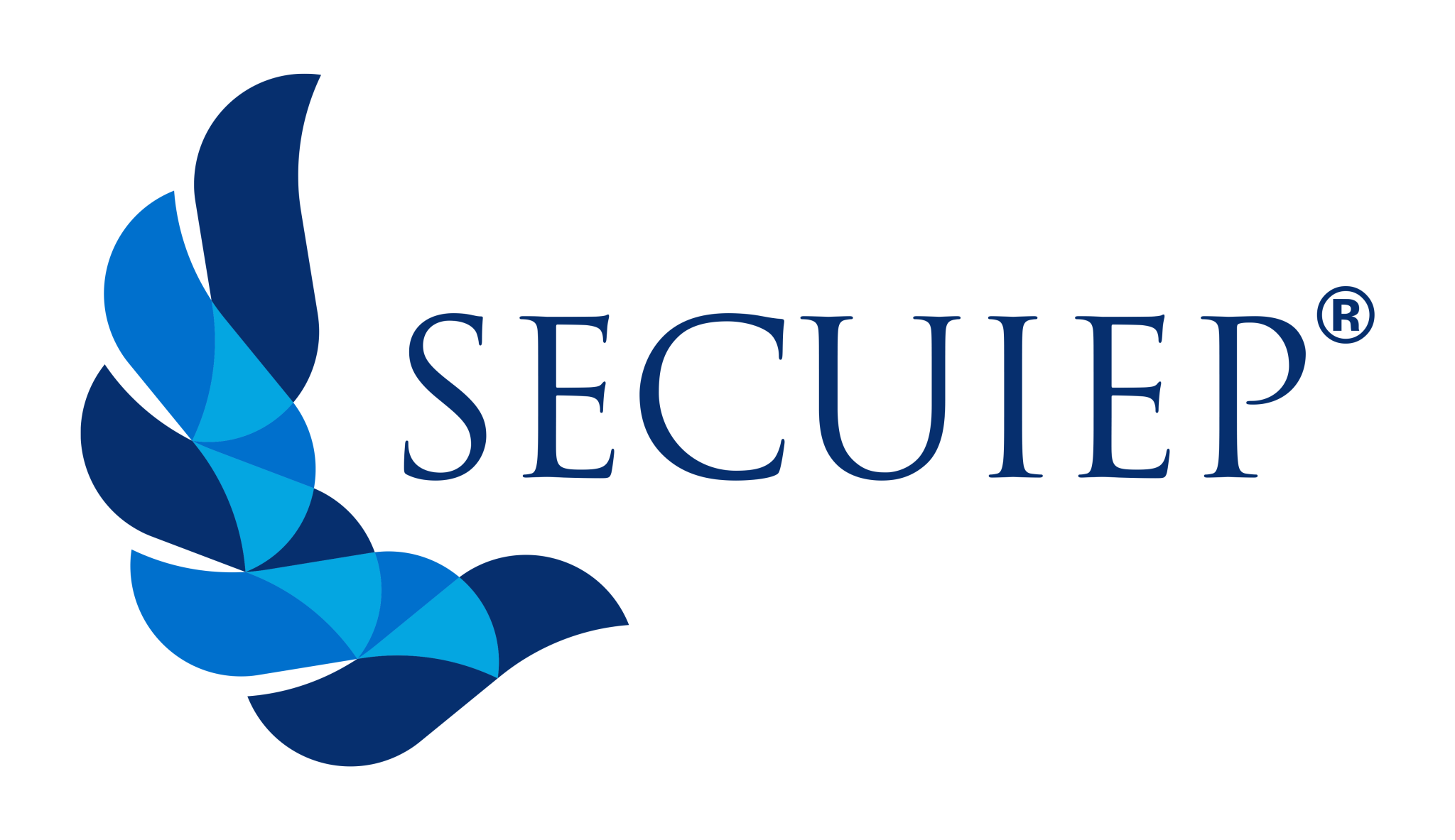 Acerca de – SECUIEP